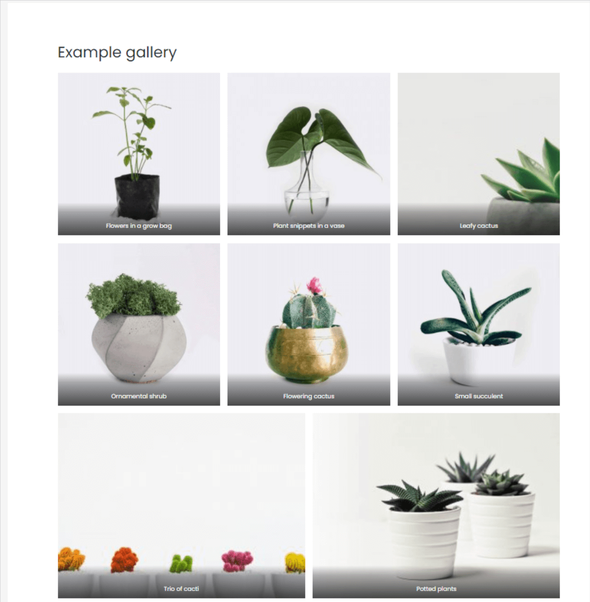 How to create a WordPress gallery in minutes - EasyWP