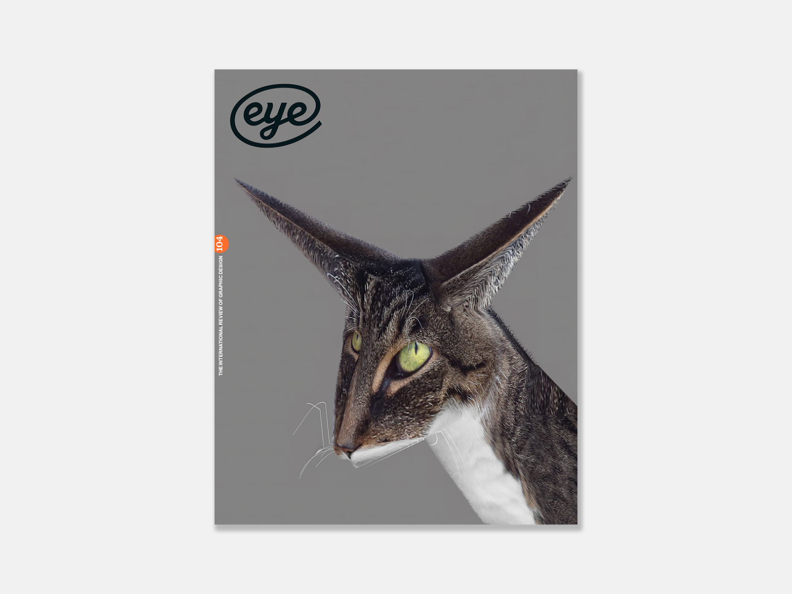 Trends, Chrome extensions, & design inspiration - EasyWP